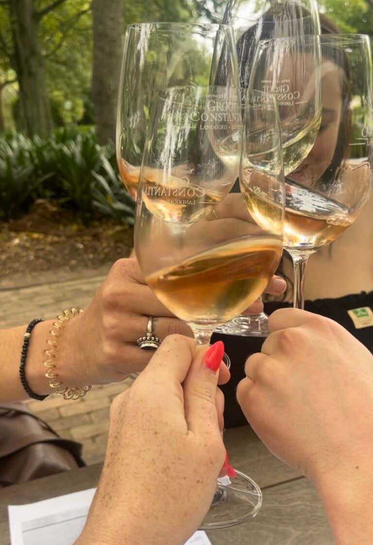 The Best Wine Farms in Constantia in 2026 - The Cape Town Blog