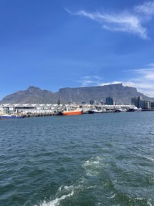 The Ultimate Guide to Visiting Table Mountain, Cape Town - The Cape ...