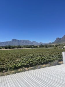 Where to Go Horse Riding in Cape Town - The Cape Town Blog