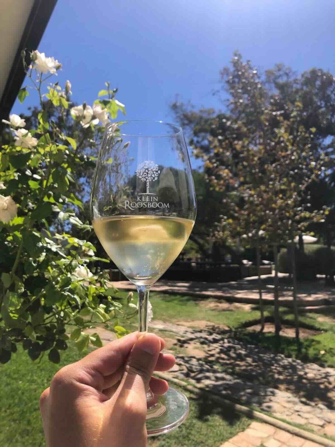 Wine Tasting in Cape Town: A Local’s Guide - The Cape Town Blog
