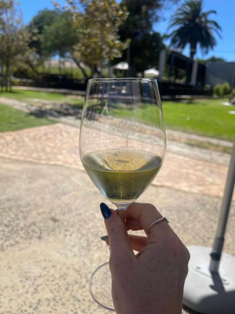 A Guide to the Durbanville Wine Safari, Cape Town - The Cape Town Blog